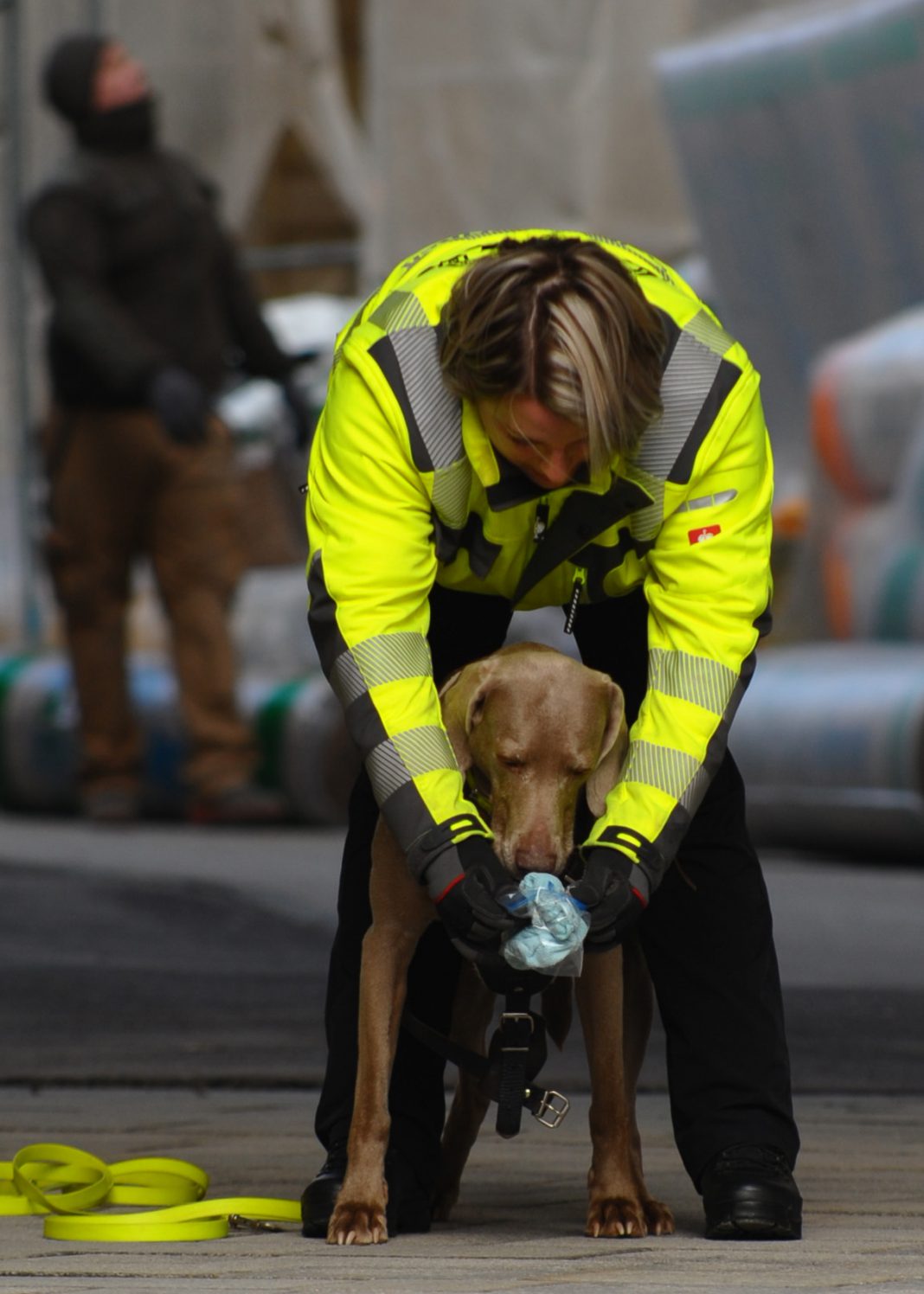 Mantrailing - Die Realität abseits vom Fernsehen