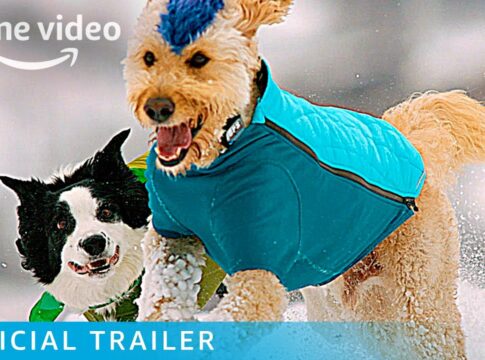 Videos - Planet Hund